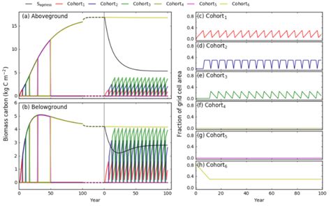 Biomass Carbon Stock As Simulated By Two Model Configurations Without