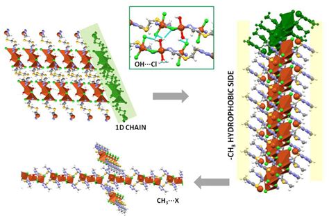 Supramolecular Arrangement In The Crystal Structure Of 1 The Download Scientific Diagram