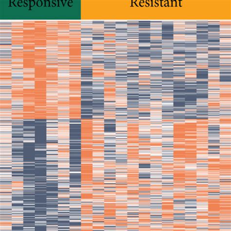 Principal Component Analysis Pca In Resistant Versus Responsive