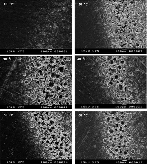 Scanning Electron Photomicrographs Of Eroded Surfaces After 2 Min For
