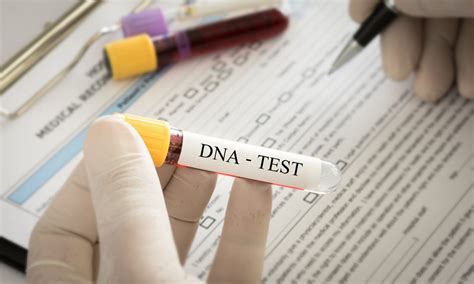 Paternity Testing 5 Tips For Understanding The Privacy And Legal Issues Law Crime News