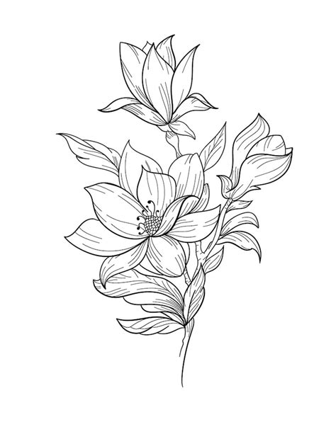 Premium Vector Hand Flower Drawn Copostion