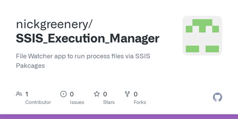 GitHub Nickgreenery SSIS Execution Manager File Watcher App To Run Process Files Via SSIS