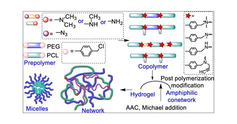 Library Of Derivatizable Multiblock Copolymers By Nucleophilic