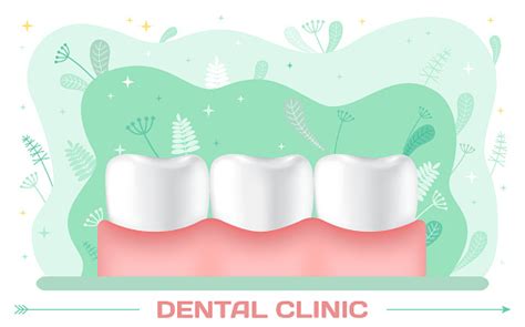 정상적인 건강한 치아와 치과 임플란트 구조 위의 잇몸에 보철물을 가진 인간의 턱 건강관리와 의술에 대한 스톡 벡터 아트 및 기타 이미지 건강관리와 의술 건강한 생활방식
