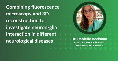 Combining Fluorescence Microscopy And 3d Reconstruction To Investigate
