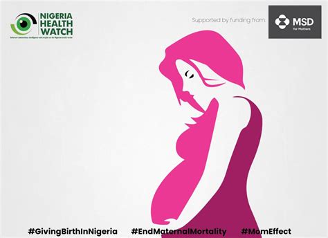 Bashiru Chinade Adamu On Linkedin Givingbirthinnigeria