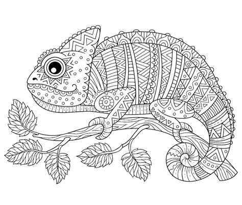 爬虫類の塗り絵 286x350