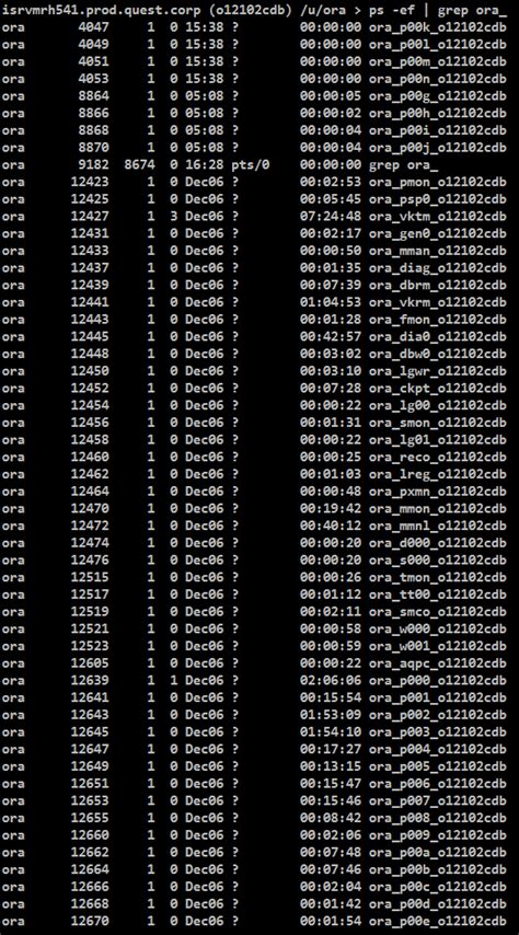 Oracledbpro Pini Dibask Blog Oracle Multiprocess And Multithreaded
