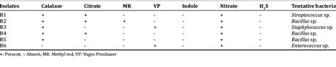 Biochemical Characterization Of Bacterial Isolates Download