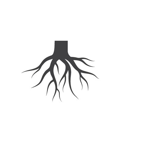 Tree Roots Vector Icon Illustration Design Vector Art At Vecteezy