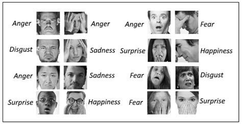 Emotional Health Detection In Har New Approach Using Ensemble Snn