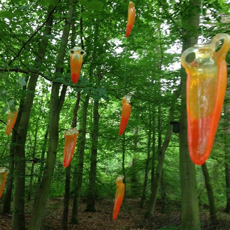 Lachrymae Walk · Listen · Create