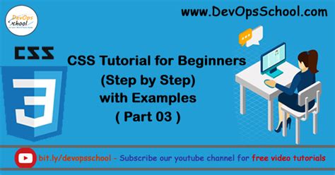 CSS Tutorial For Beginners Step By Step With Examples Part DevOpsbabe Com