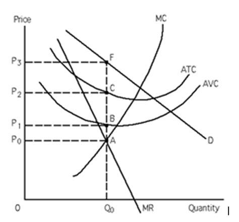 solved the graph above is of a monopolist which includes