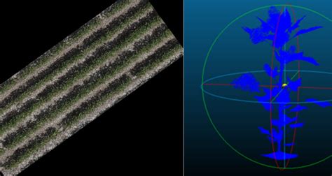 Msc Thesis Topic From Pot To Plot Correlating High Throughput