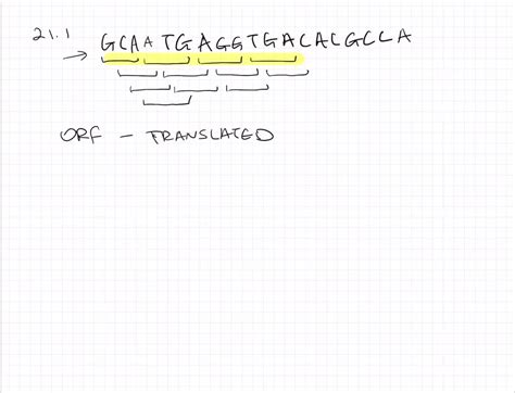 Solvedan Open Reading Frame Orf Is Distinguished By The Presence Of A A Stop Codon B A