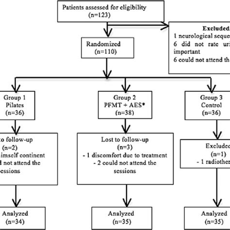 Flow Chart Outlining Enrolment Process And Randomization Pfmt Aes