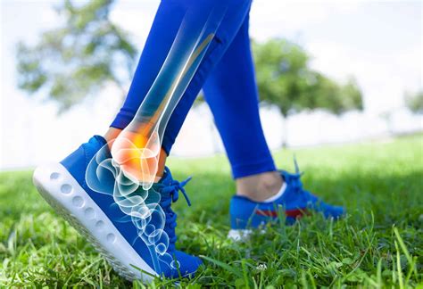 Tornozelo Anatomia Lesões E Dores Instituto Trata