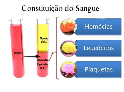 Composição Do Sangue Plasmaelementos Figurados
