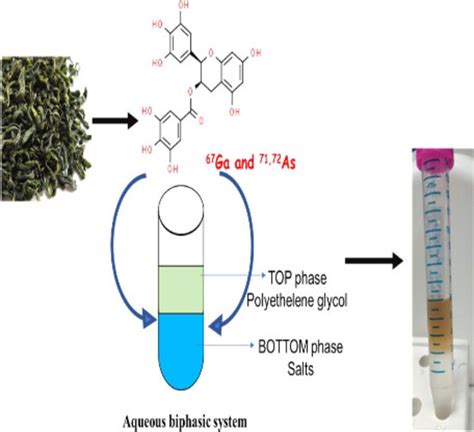 Synergistic Aqueous Biphasic Separation Of No‐carrier‐added 71 72as From A Gallium Oxide Target