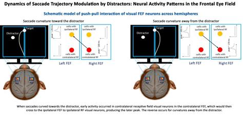 Hamid Ramezanpour On Linkedin Happy To Share That Our Latest Paper Is