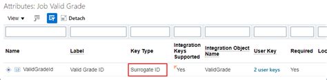 Understanding Hcm Data Loader Hdl Business Objects