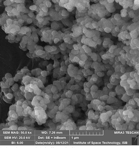Figure 2 From Antifungal Activity Of Green Synthesized Selenium