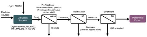 Nanofiltration Assisted Concentration Processes Of Phenolic Fractions And Carotenoids From