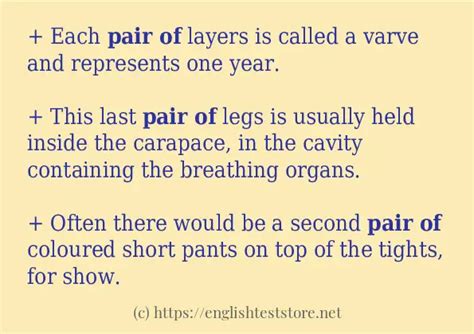 Pair Of Example In Sentences Englishteststore Blog Pair Of Example In Sentences Englishteststore Blog