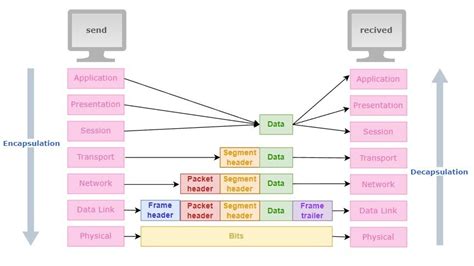 Network와 Osi 7 Layer Mxxi Kr