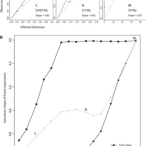 Saturation Estimates From The Simulated Sequences A The Level Of