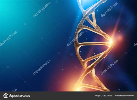 Creative Dna Structure Model