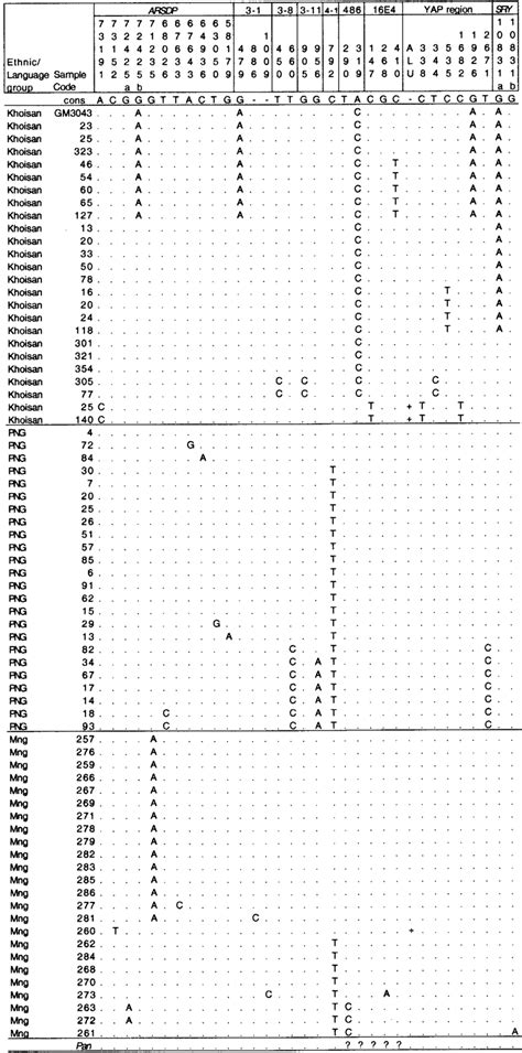 Polymorphic Sites In 26 5 Kb Of Noncoding Dna On 73 Y Chromosomes From