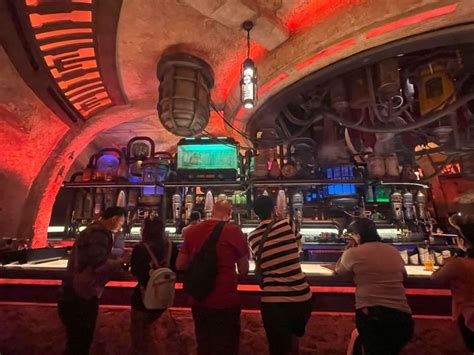 Disneyland Magic Key Disney Park Nerds