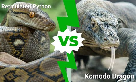 Reticulated Python Vs Anaconda