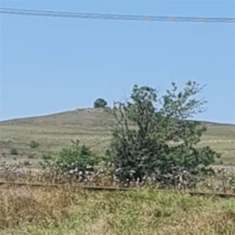 3. Исследование кургана - Лавка "Товары в дорогу"