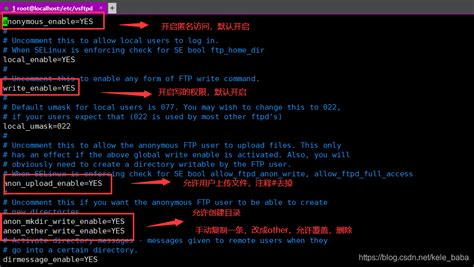 linux中ftp文件传输 linux使用ftp拷数据 csdn博客
