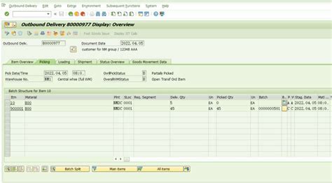SAP WM Shipping Integration Copy WM Quantity Sap Warehouse