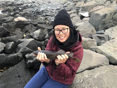 Co Interpreting Research Findings In The Arctic