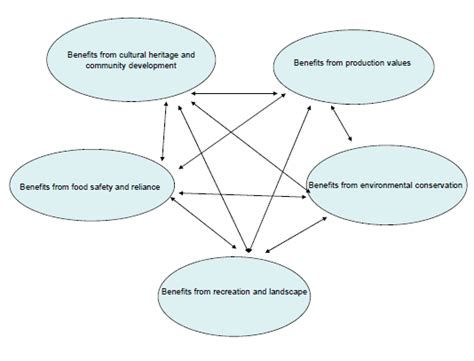 Complex Network Preference Structure Of Multifunctionality Of Paddy