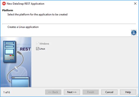 Datasnap Rest Application Wizard Rad Studio