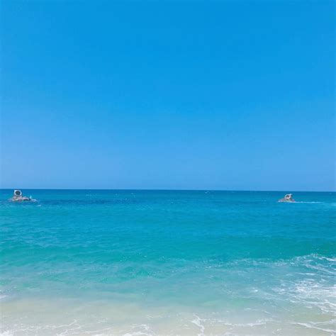 네트워크network 개념과 구성 요소