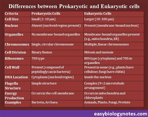 Differences Between Prokaryotic And Eukaryotic Cells Easybiologynotes