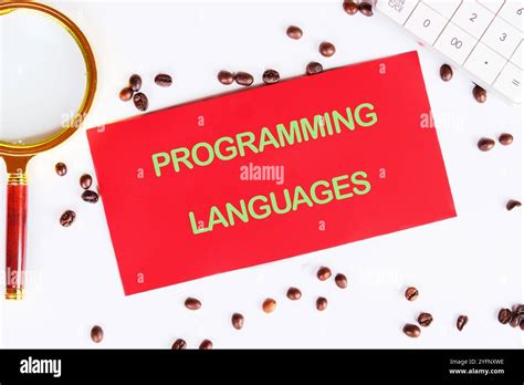 Business Programming Interface Application And Network Concept Text