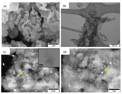a sem and b tem micrographs of the g c3n4 nss bse hrsem of the c
