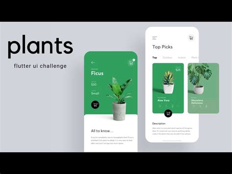 Flutter Ui Minimal Designs Plants Qandeel Academy