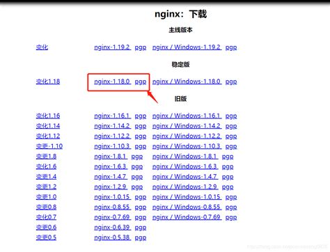 Nginx安装ssl证书导入nginxagent Jdkg Xyz Csdn博客