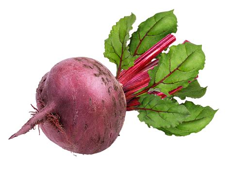 당뇨에 좋은 음식으로 제격인 레드비트 영양분이 가득한 비트 효능과 비트 먹는법 소개 데일리시큐