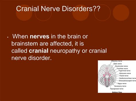 Solution Diseases Of Cranial Nerves Studypool